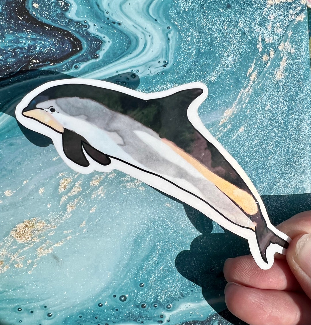 Atlantic Dolphin Sticker, Dolphin Sticker, Dolphin Gift, Waterproof ...