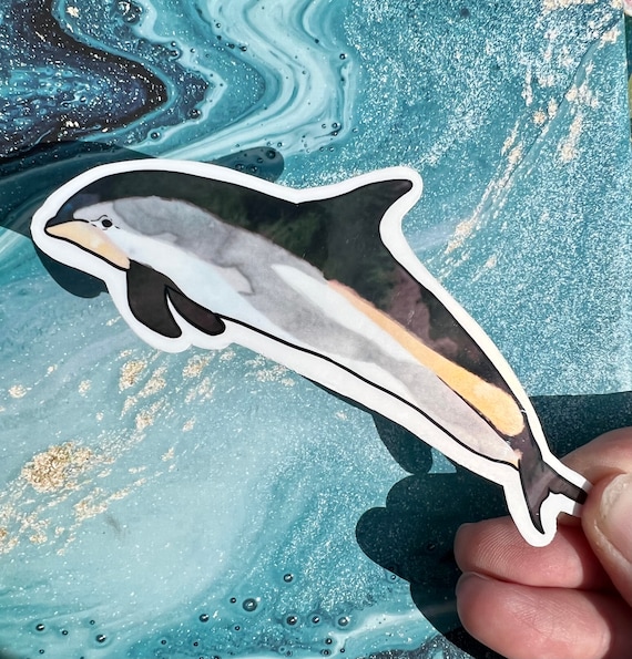 Atlantic Dolphin Sticker Dolphin Sticker Dolphin Gift | Etsy