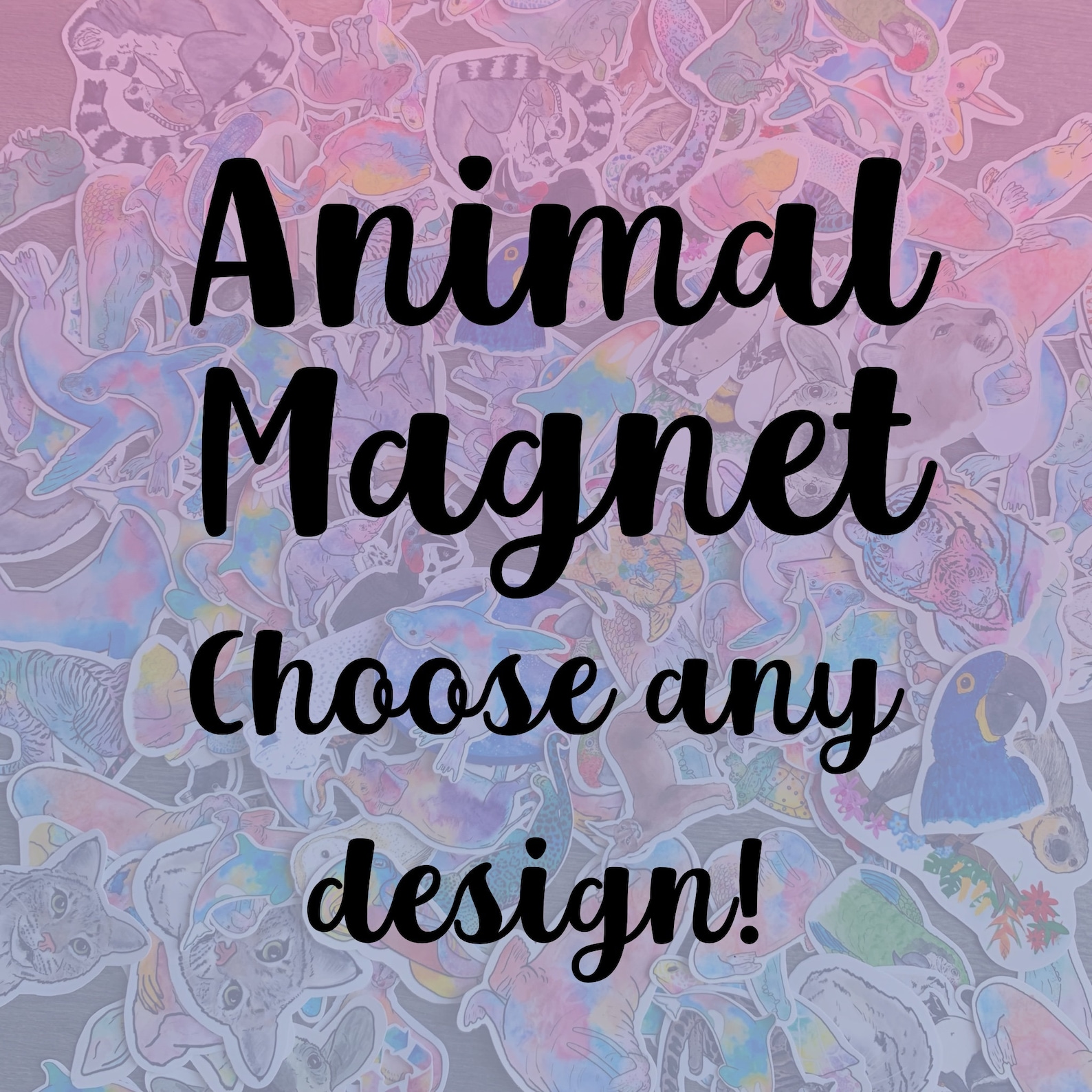 Animal Magnet Rainbow Magnet Wildlife Magnet Animal - Etsy