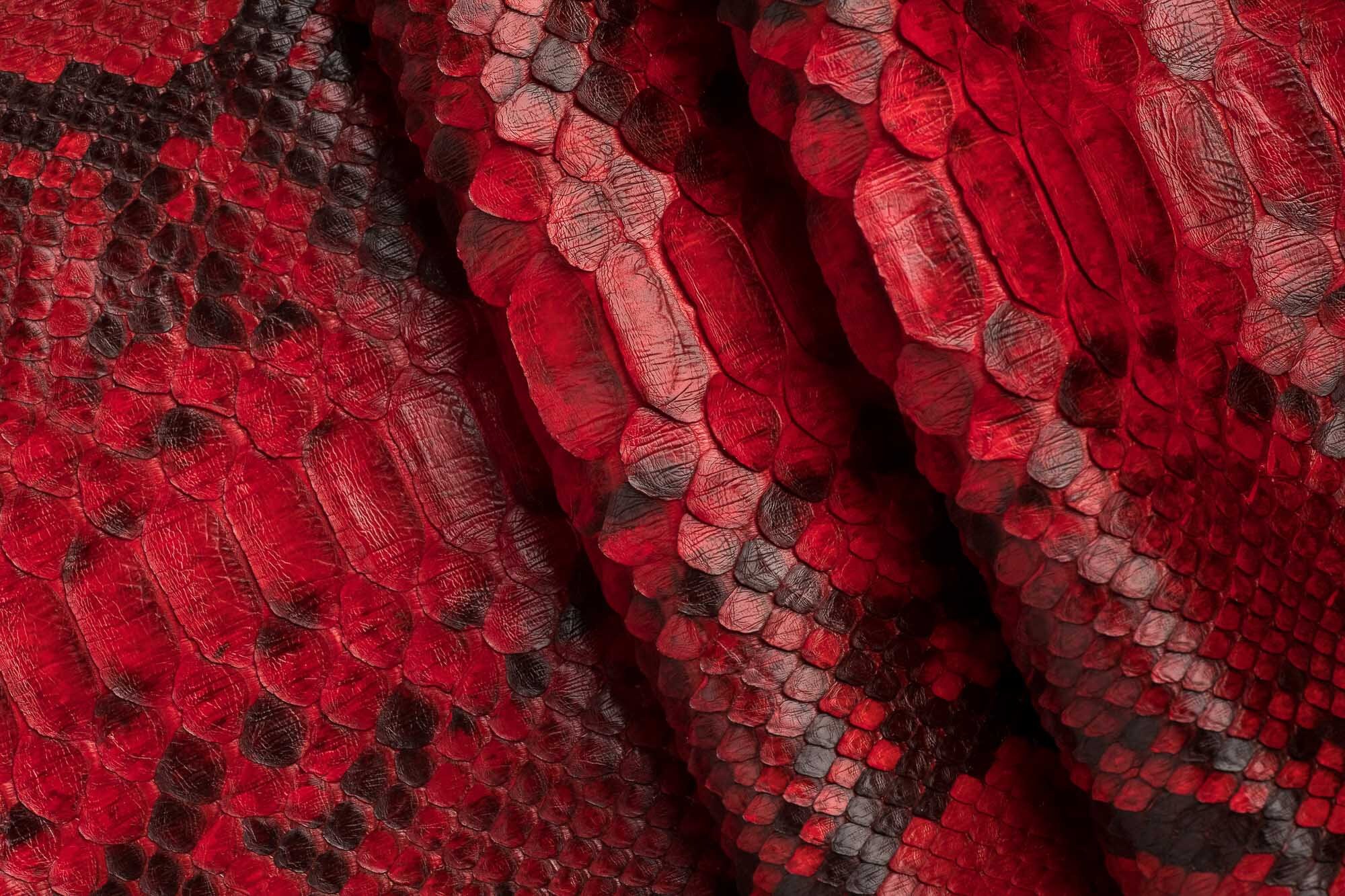 Genuine Python Skin Black Matte, Cognac Glossy Snake Skin, Black Glossy ...