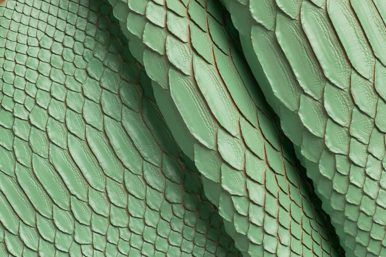 Genuine Olive Python Skin, Green Glossy Snake Skin, Red Matte Snake ...