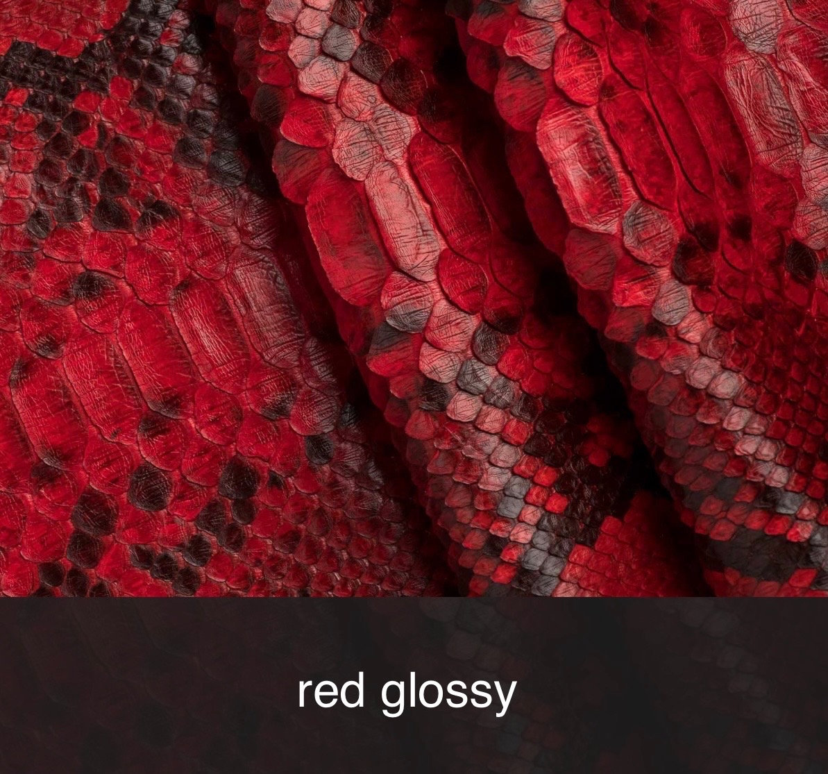 Genuine Python Skin, Black Matte, Cognac Snake Skin, Exotic Leather - Etsy