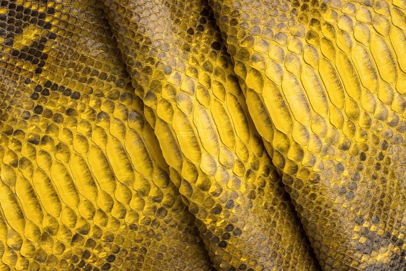 Genuine Olive Python Skin, Green Glossy Snake Skin, Red Matte Snake ...