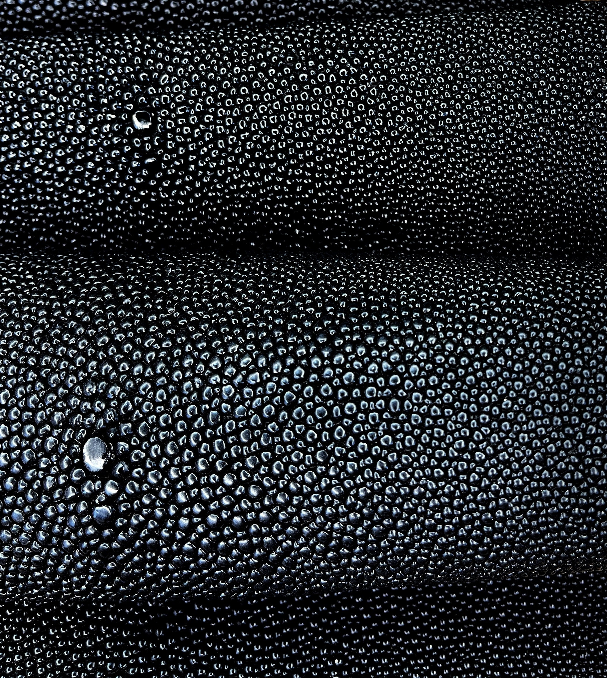 Big Black Unpolished Stingray Skin, Polished Black Stingray Leather ...