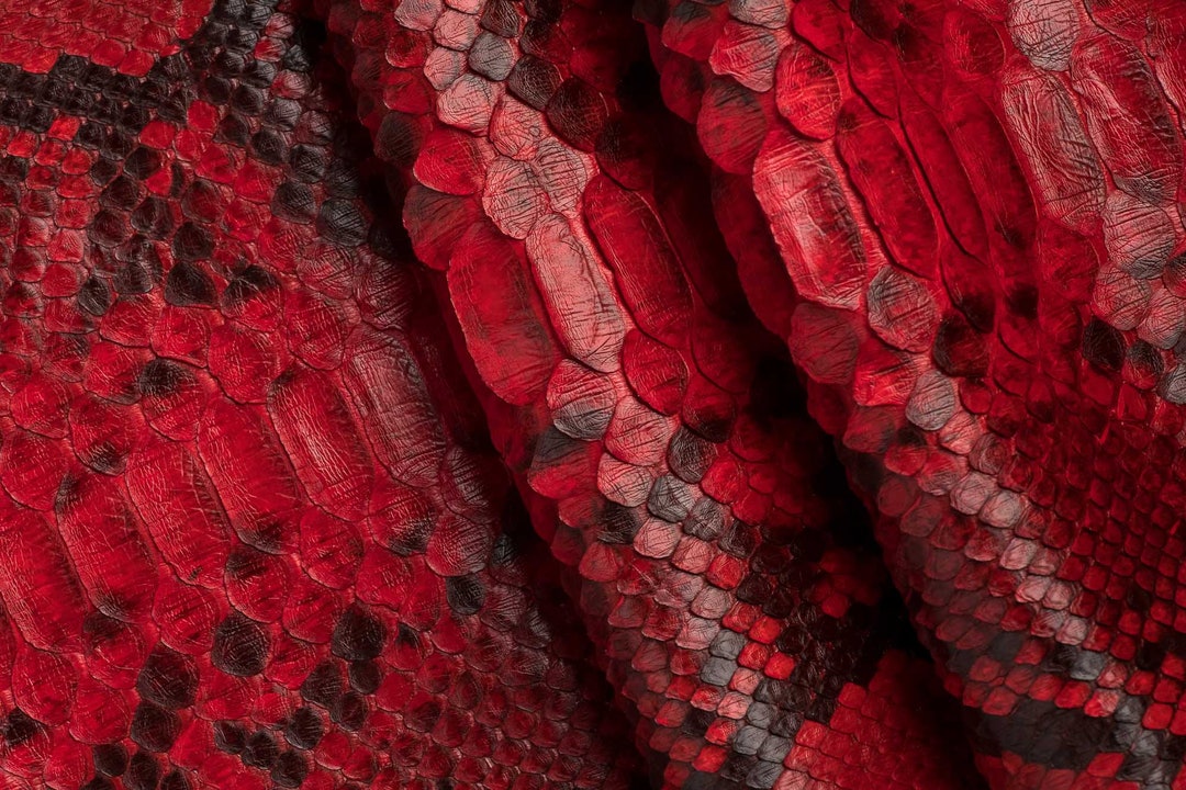 Genuine Olive Python Skin, Green Glossy Snake Skin, Red Matte Snake ...