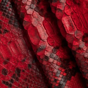 Genuine Olive Python Skin, Green Glossy Snake Skin, Red Matte Snake ...