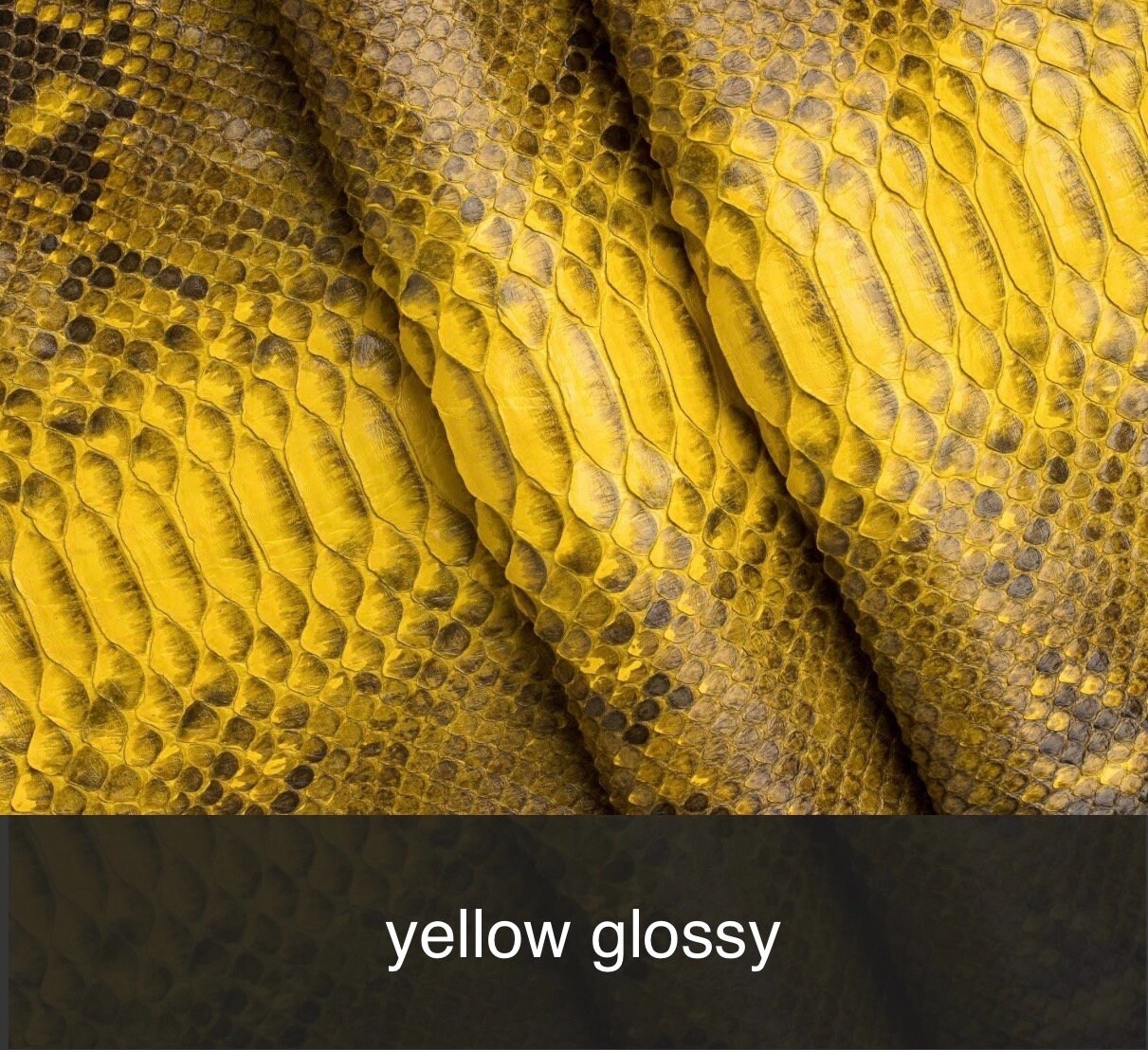 Genuine Python Skin, Black Matte, Cognac Snake Skin, Exotic Leather - Etsy