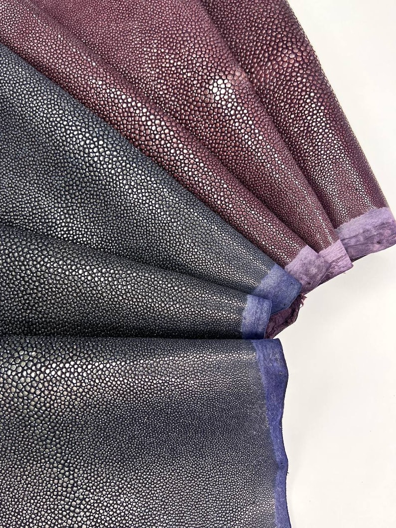 Big Polished Stingray Skin Black, High Quality Dark Blue Stingray ...