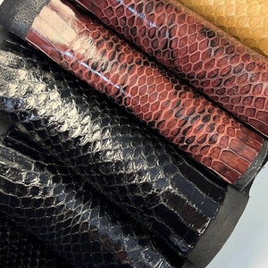 Genuine Black Snake Skin, Beige Snake Skin, Brown Snake Skin From Italy ...