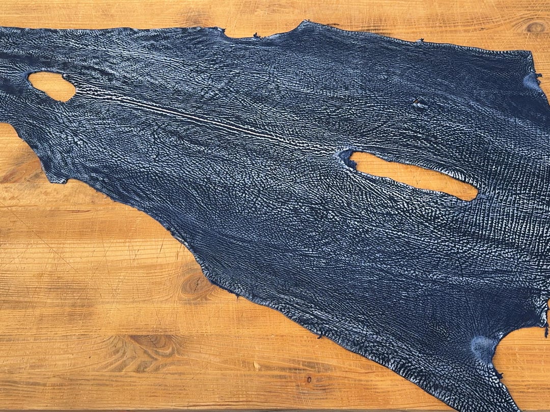 Blue Shark Skin Black, Genuine Shark Skin, Big Sharkskin - Etsy Australia