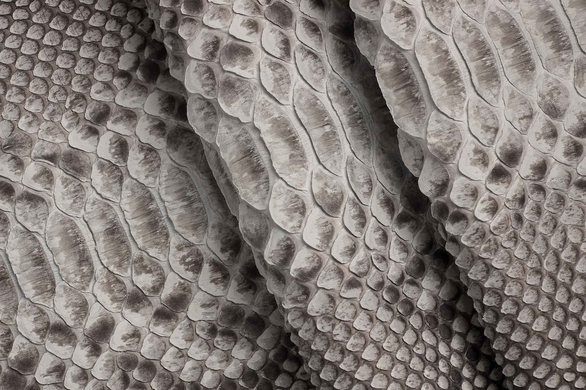 Genuine Olive Python Skin, Green Glossy Snake Skin, Red Matte Snake ...