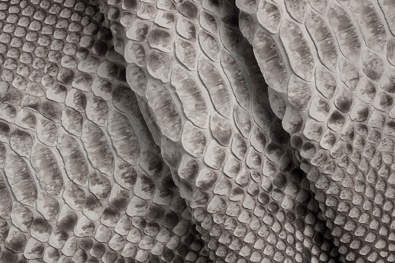 Genuine Olive Python Skin, Green Glossy Snake Skin, Red Matte Snake ...