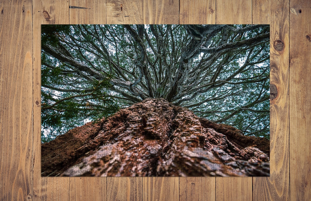 Puzzle Redwood Tree Bark and Branches 100, 500, 1000 Piece Jigsaw ...