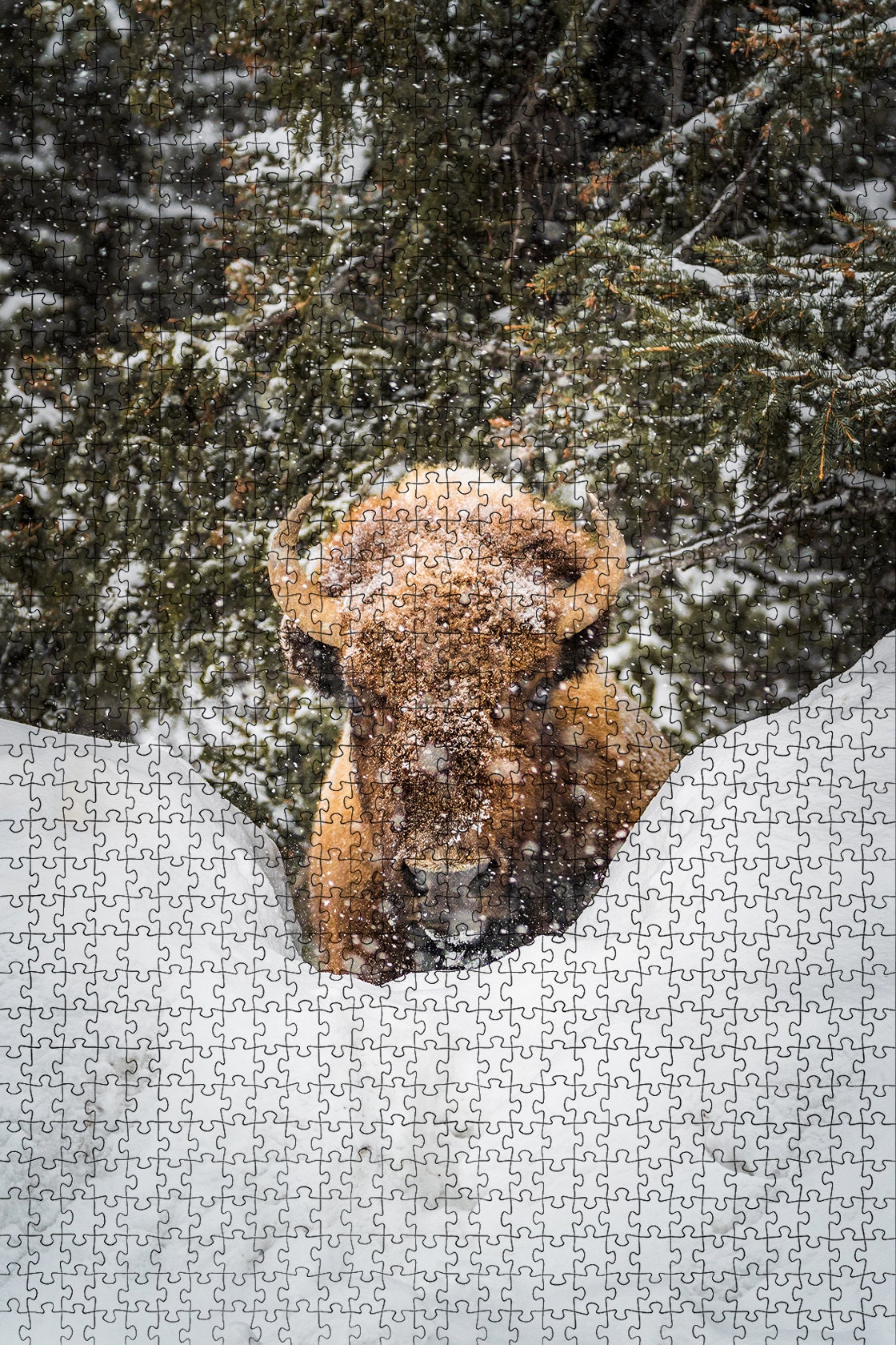 Puzzle Powerful Bison Hiding in the Trees 100, 500, 1000 Piece Jigsaw ...