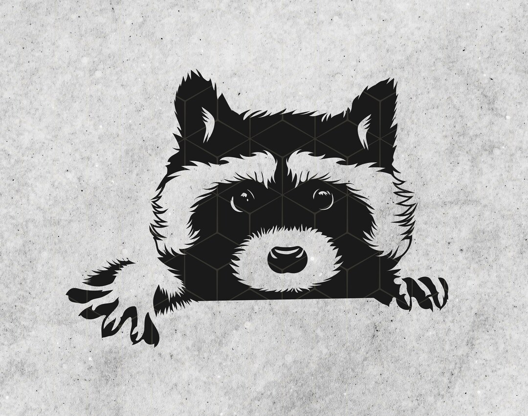 Raccoon Face SVG, Funny Raccon Svg Png, Instant Download, Raccoon ...