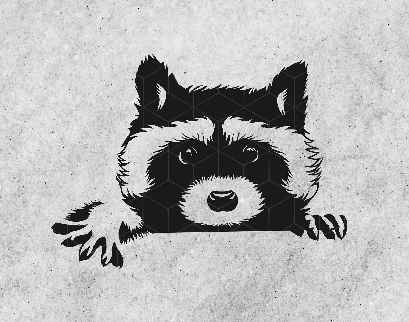 Raccoon Face SVG Funny Raccon Svg Png Instant Download | Etsy