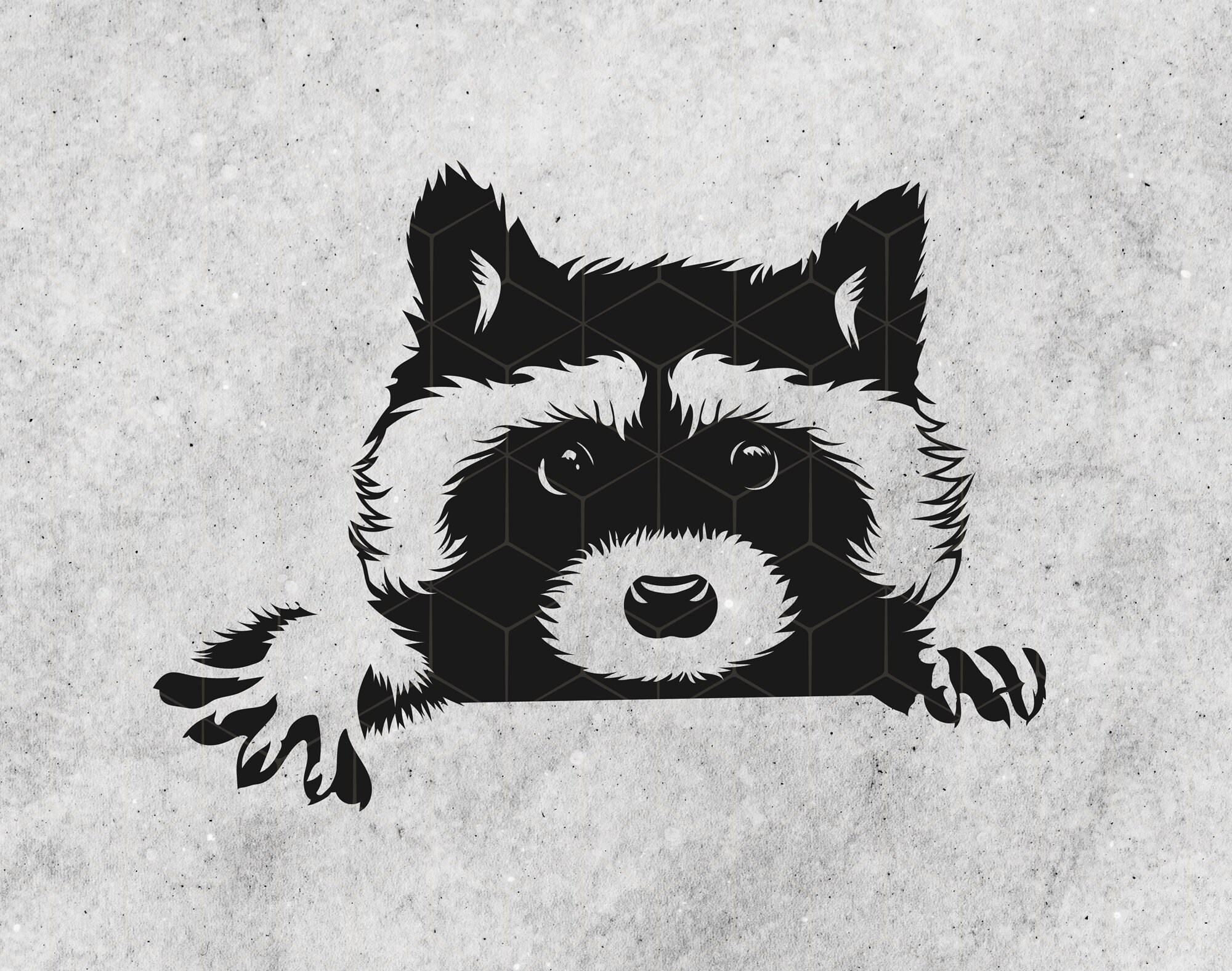 Raccoon Face SVG Funny Raccon Svg Png Instant Download - Etsy UK
