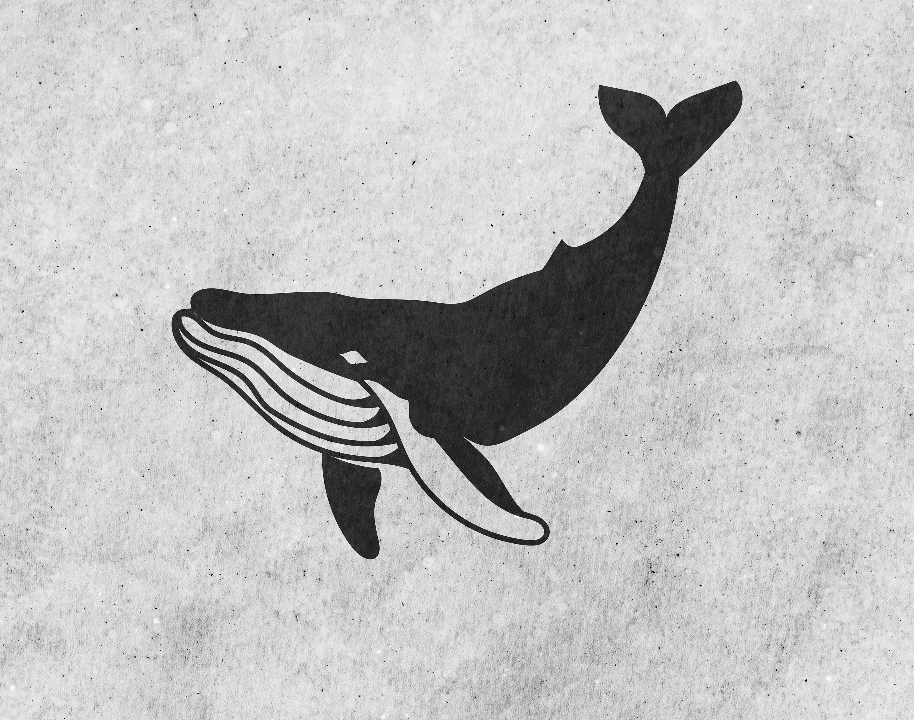 Whale Svg Files for Cricut and Silhouette, Whale Die Cut SVG, Whale Svg ...