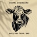 Black Angus Cow Head SVG: Farm Animal Portrait, Laser Cut File (digital ...