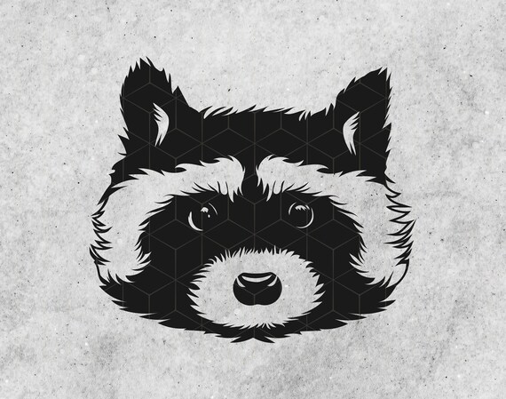 Raccoon Face Svg Curious Svg Png Jpg Instant Download Shirt - Etsy