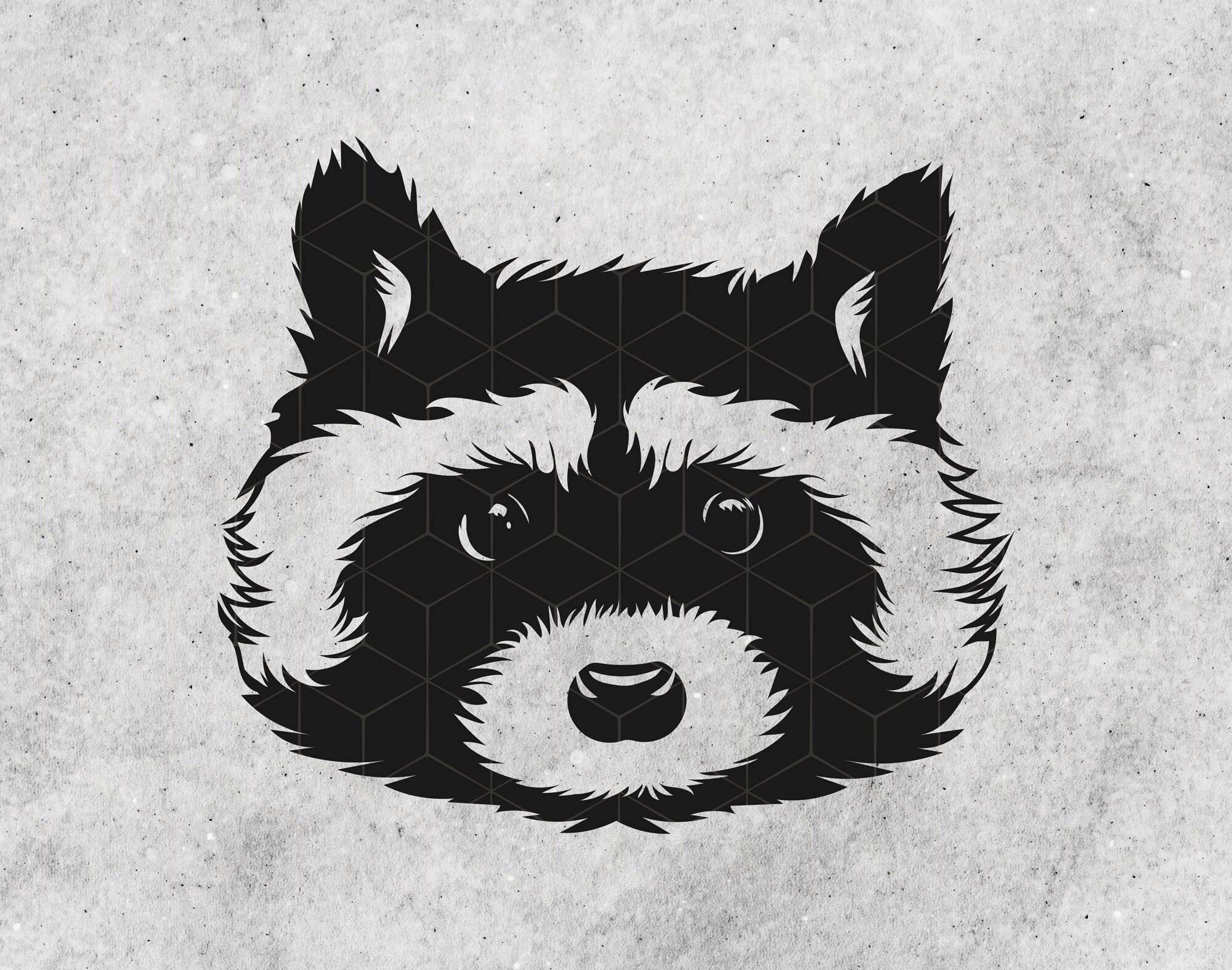 Raccoon Face Svg Curious Svg Png Jpg Instant Download Shirt - Etsy