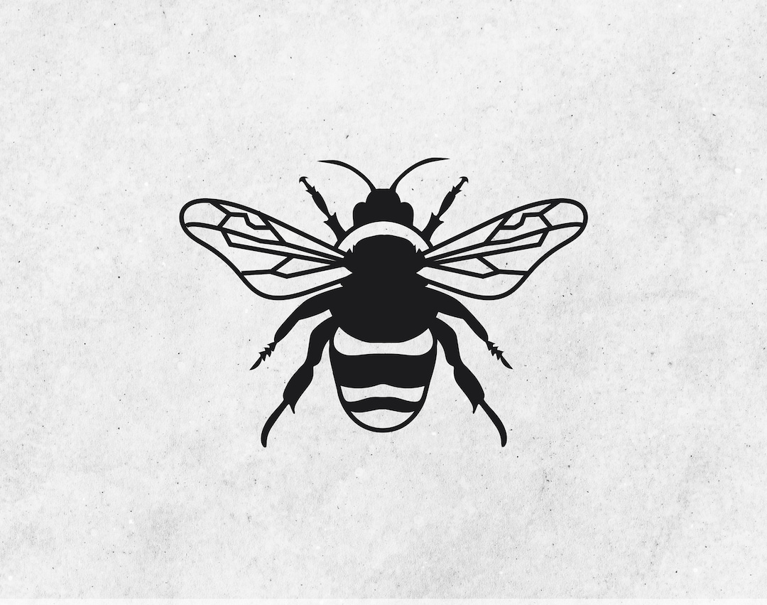 Bee SVG, Honey Bee Cut File for Cricut and Silhouette, Bee Vector Cut ...