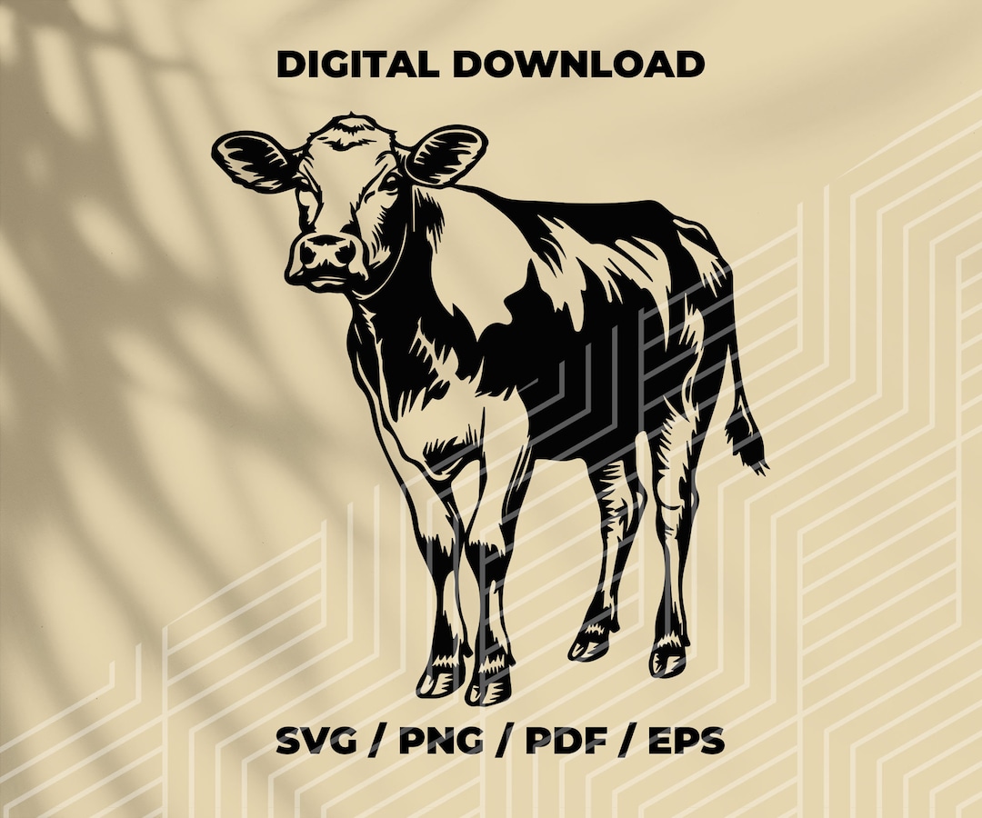 Cow Clipart, Farm Animal Portrait, Angus Bull Cattle, Vector Graphic ...