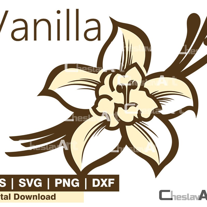 Vanilla Labels - Etsy