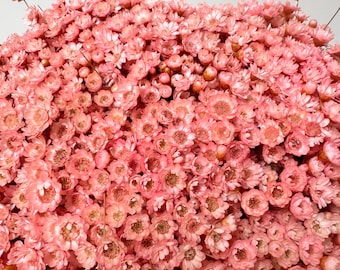 Preserved Dried Bunch of Stardust Baby Daisy Grass | Orange Juice ...