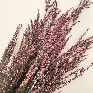 Preserved Dried Bunch of Native Tea Tree | Pink Tones | DIY Dried ...