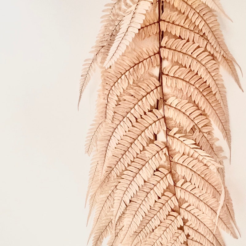 Dried Ferns - Etsy