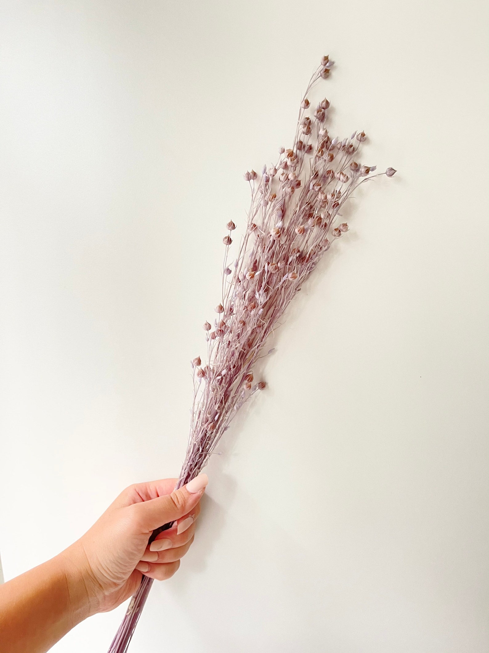 Bunch of Preserved Hypericum Berries Dried Wheat Flower - Etsy