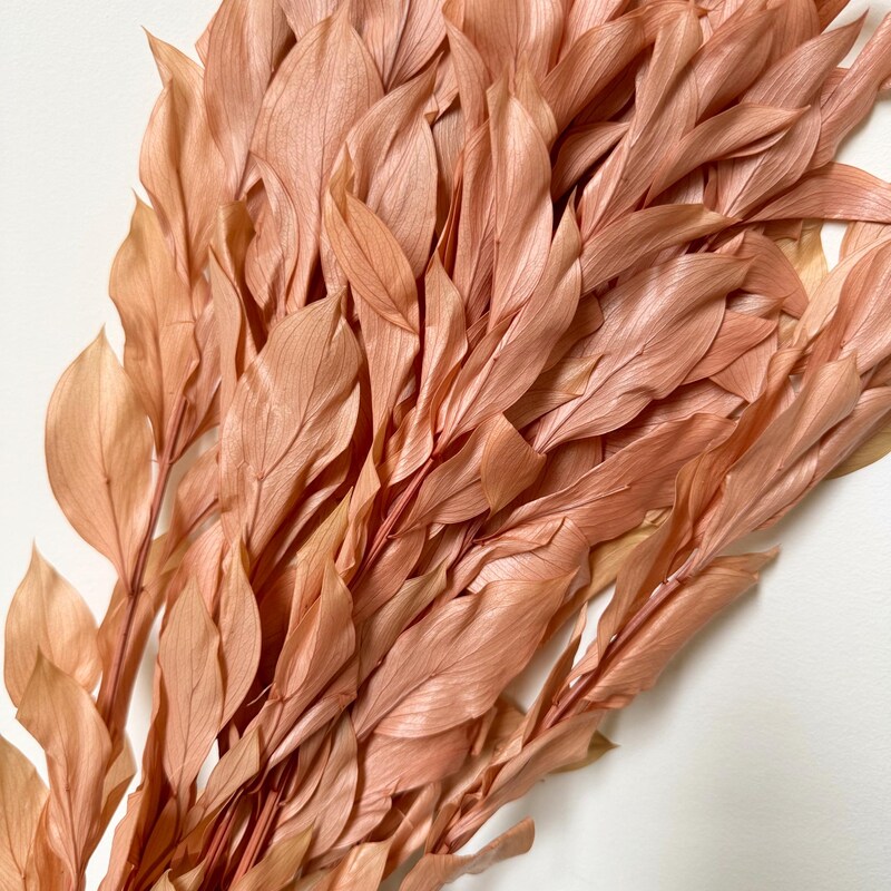 FlorettePreserves - Etsy