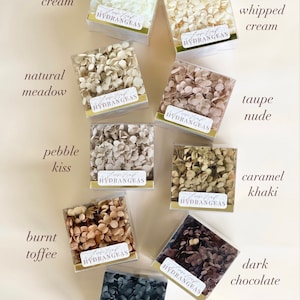 High Quality - Box of Loose Leaf Preserved Hydrangeas | Dried Flower ...