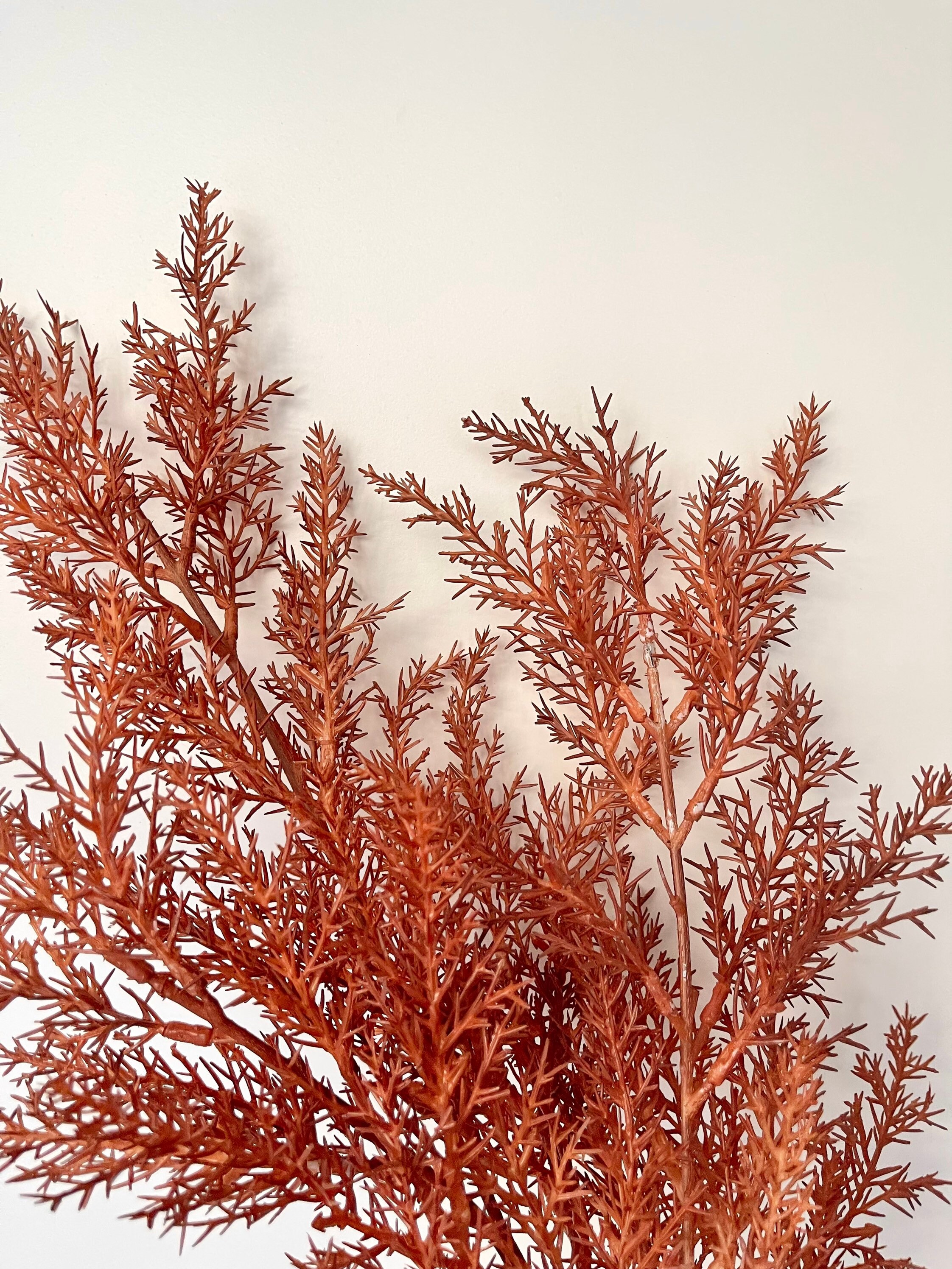 Artificial Faux Preserved-look Italian Cypress Ferns Leaves | Etsy