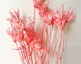 Bunch of Preserved Rice Flower Plant Dried Floral Design Natural OAT ...