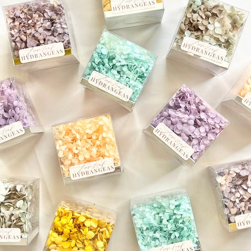 High Quality Box of Loose Leaf Preserved Hydrangeas Dried - Etsy
