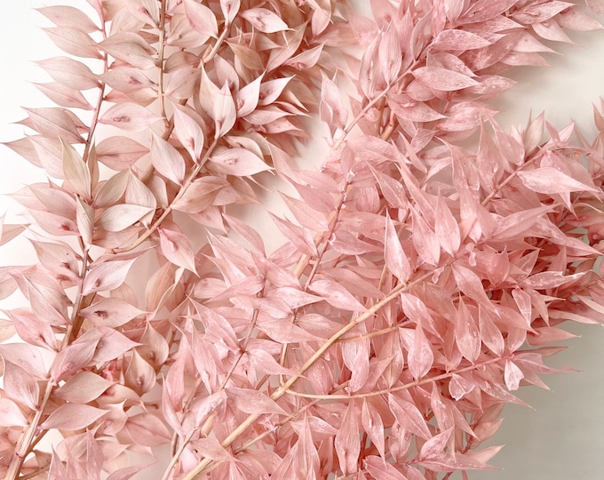 Preserved Italian Ruscus Fucus Leaves X 2 Stems High Quality Floral ...