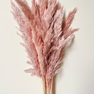 Preserved Dusty Pink Floss Large Feather Reed Ferns Dried Flower Floral ...