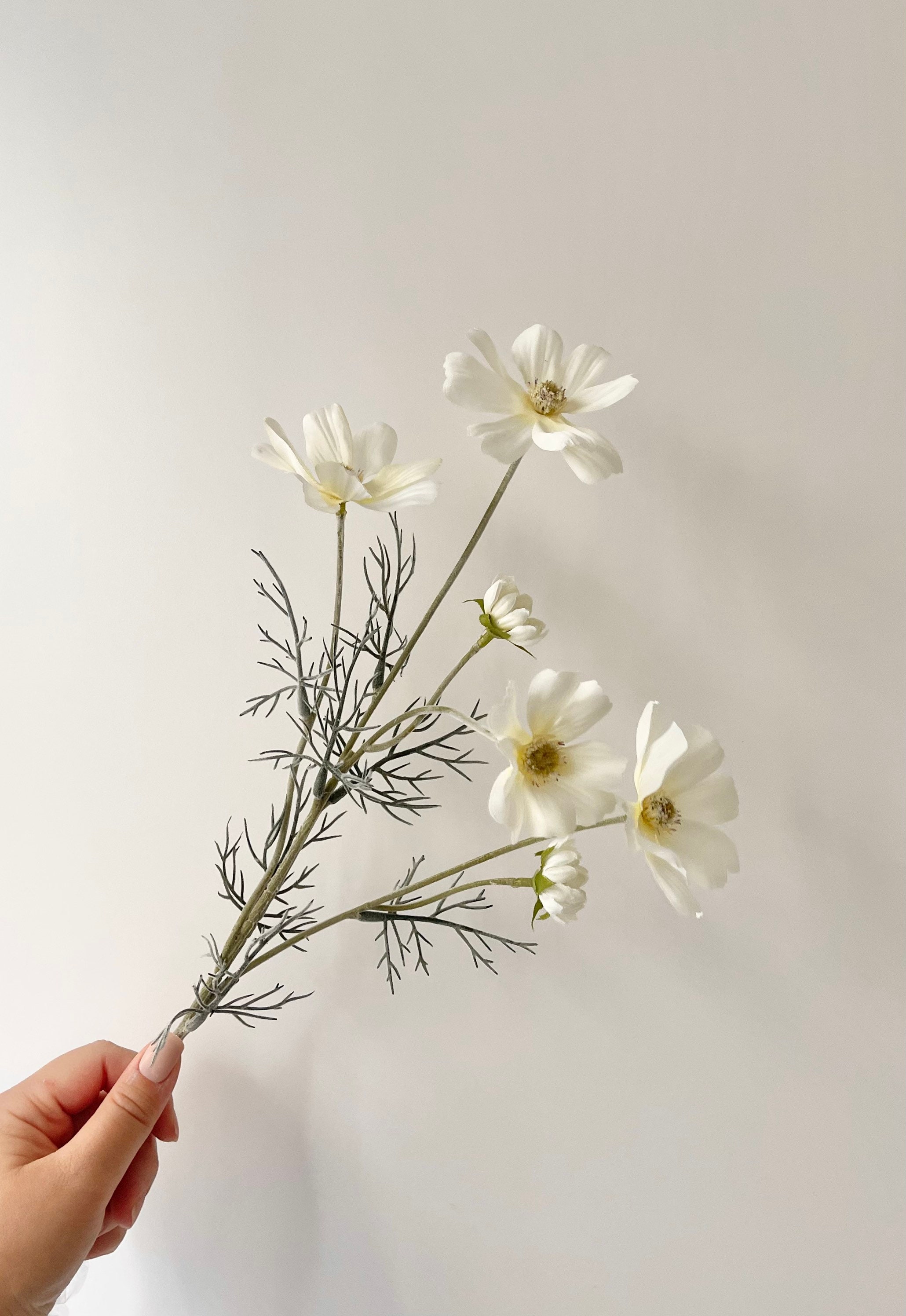 Silk Faux Cosmo Wild Daisies Flowers | Dried Artificial Flower Floral ...
