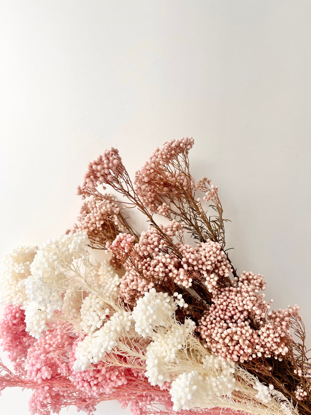 Bunch of Preserved RICE FLOWER Plant | Various Colour | Dried Flowers ...