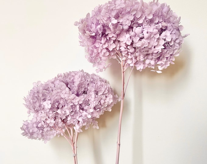 LARGE Head Preserved Hydrangeas Mystic Violet Dried Flowers Floral ...
