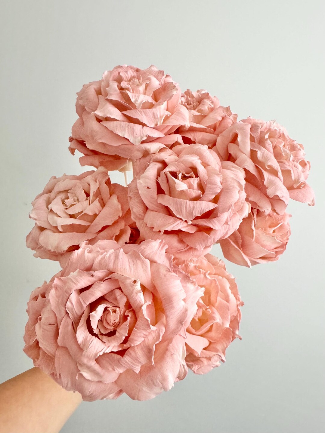 High Quality - HANDMADE SOLA Wood Flower - Soft Pink X-large Flexed ...