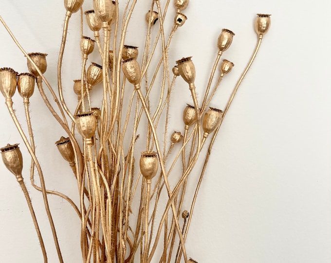 GOLD Edition - Dried Preserved GOLD Branch Fruit Pods | Flower Floral ...