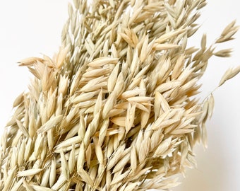 Bunch of Preserved NATURAL WHEAT Oats High Quality Dried Flowers DIY ...