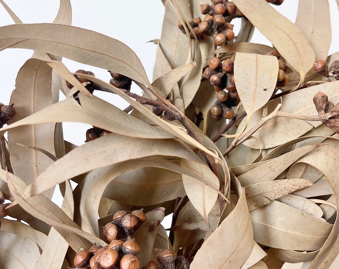 Preserved Dried Green IVY Vines Leaves Branch Cut | Dried Floral Design ...