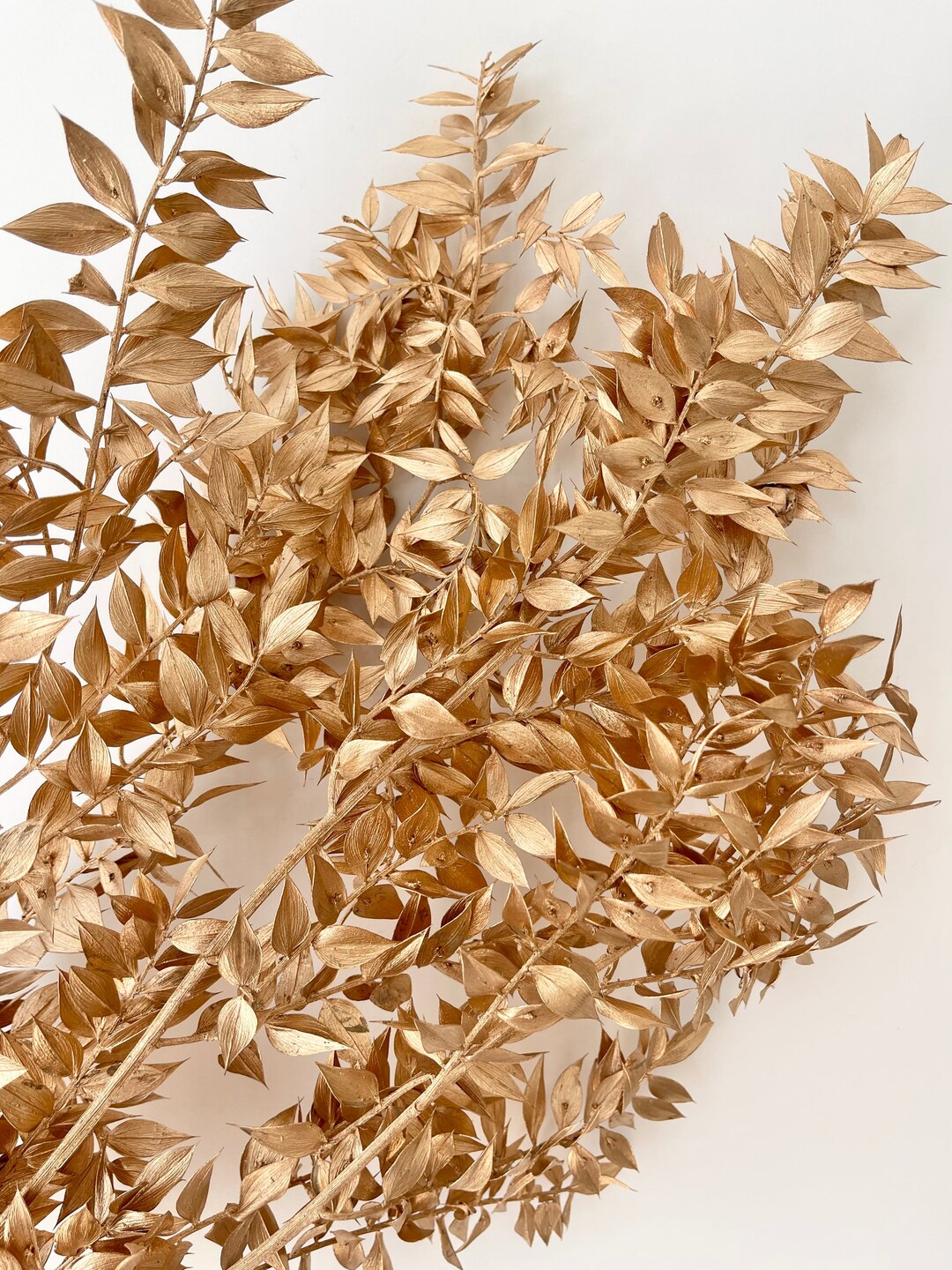 High Quality Preserved GOLD Ruscus Leaves Branch | Flower Floral Design ...