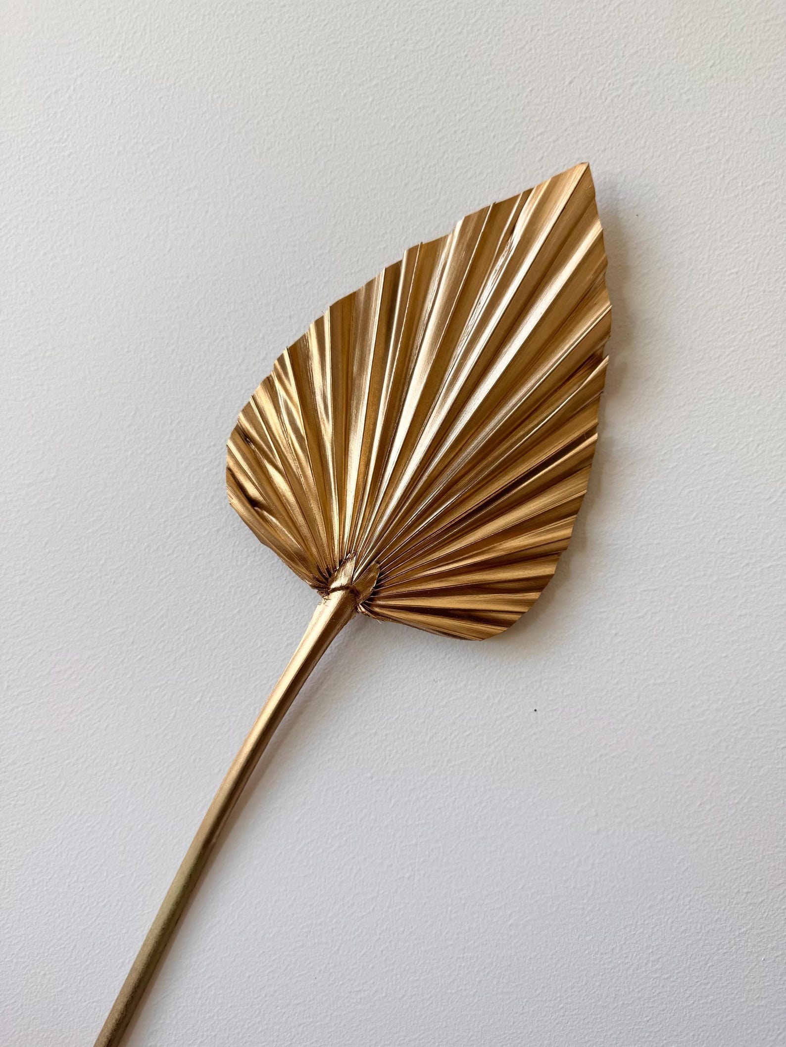 NEW - Dried Preserved Palm Spear | Dried Flower Floral Design | Boho ...