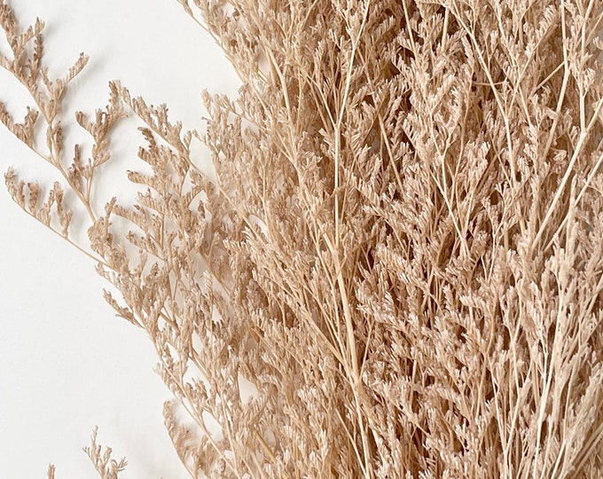 Preserved Dried Misty MILK TEA - Sea Lavender - Limonium Caspia Plant ...