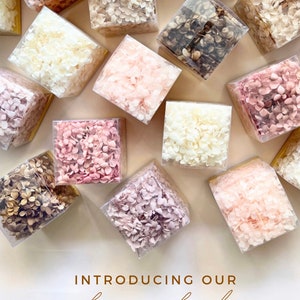 High Quality - Box of Loose Leaf Preserved Hydrangeas | Dried Flower ...